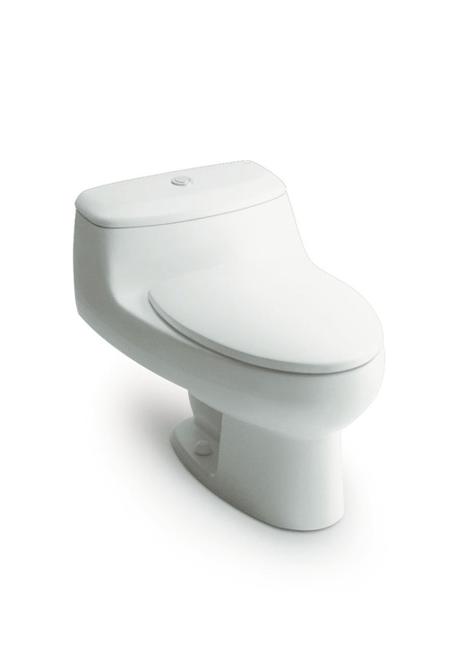 Chicago-One piece WC with vertical outlet. S-Trap 305 mm 465 x 725 x ...
