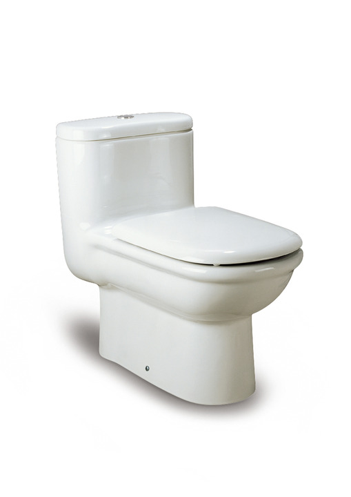 Giralda-One piece WC with dual outlet. P-Trap or S-Trap 305 mm. 390 x ...